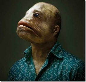 A Fish Rots From The Head Down… – Live & Learn