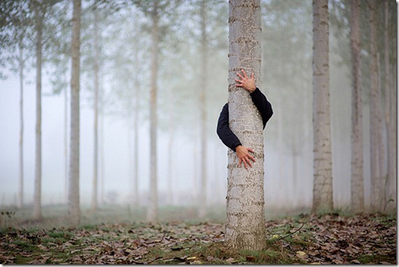 Why Trees Smell Beautiful… – Live & Learn