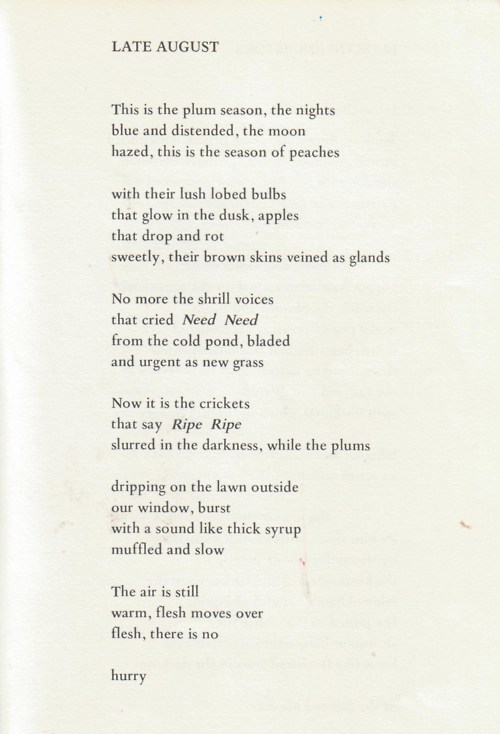 Late August… – Live & Learn