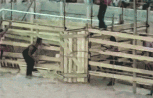 Freedom Gif Funny
