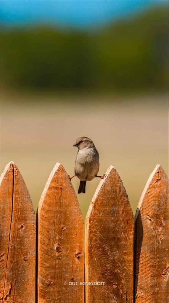 Saturday Morning Work-Out Inspiration – Live & Learn