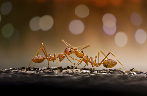 So, you think you’re on a great team? Forgettaboutit. – Live & Learn