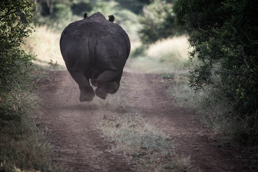 SMWI*: If he can get it up, you can too – Live & Learn