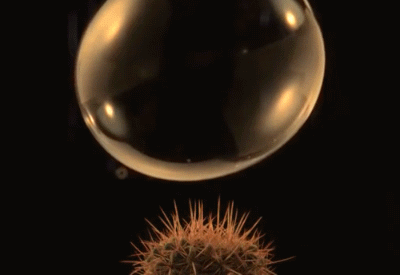 Lightly child, lightly – Live & Learn