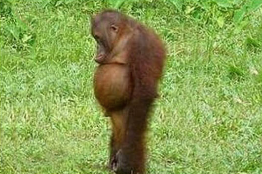 SMWI*: Alternate Universe vs. Reality – Live & Learn