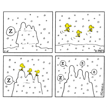Today’s Forecast: Snow Day! – Live & Learn