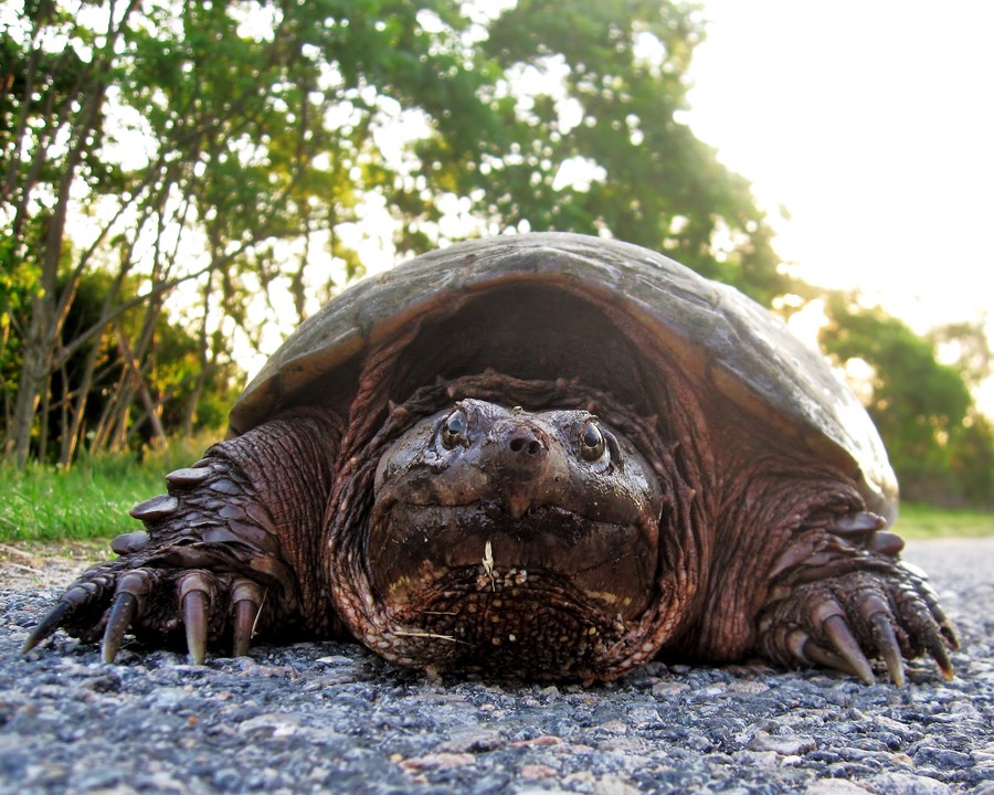 Yet… – Live & Learn