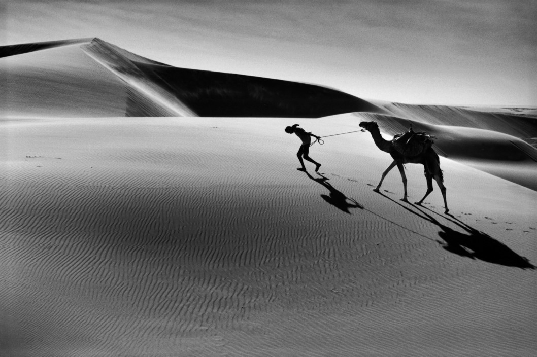 Guess.What.Day.It.Is? – Live & Learn