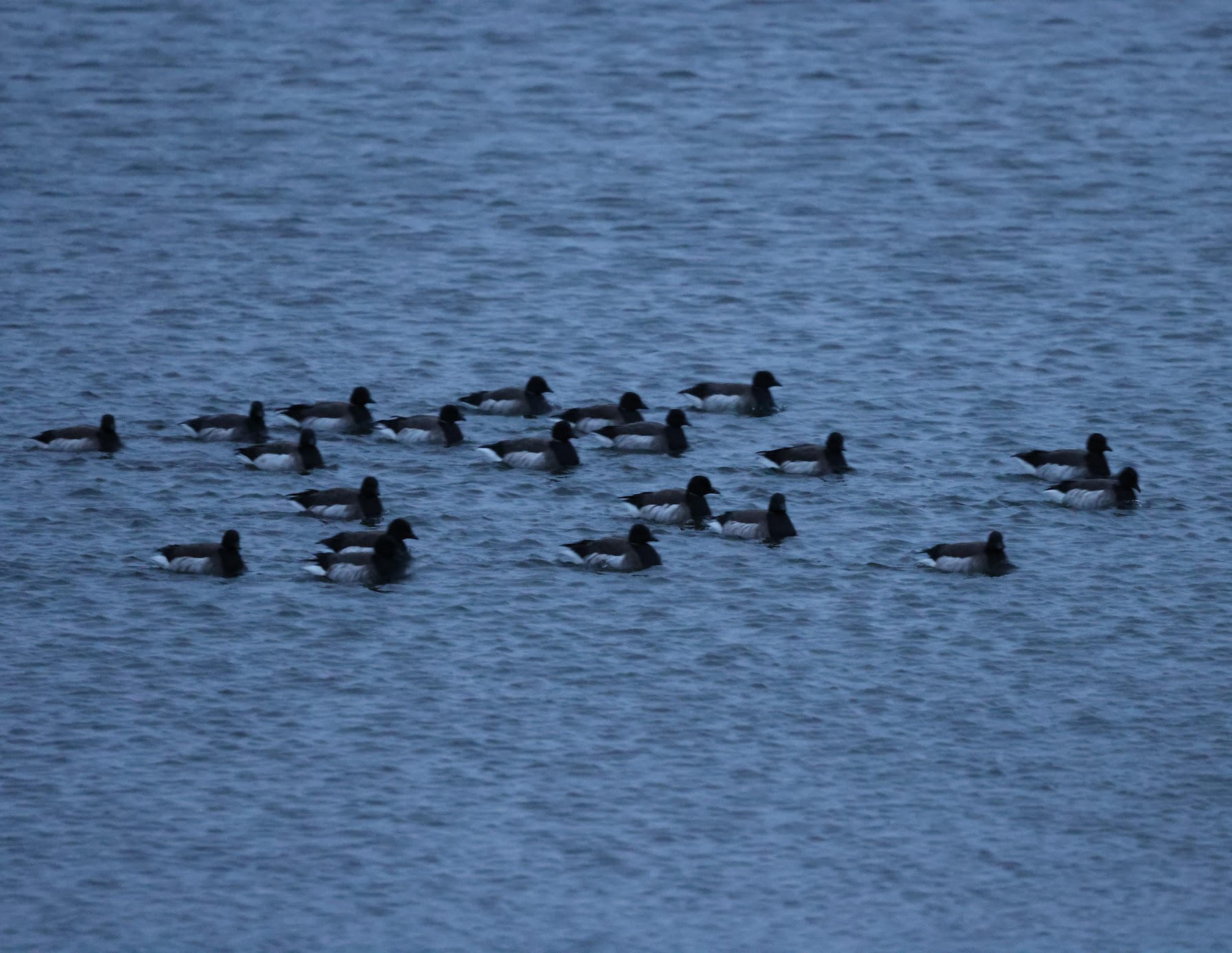 Lightly Child, Lightly. – Live & Learn